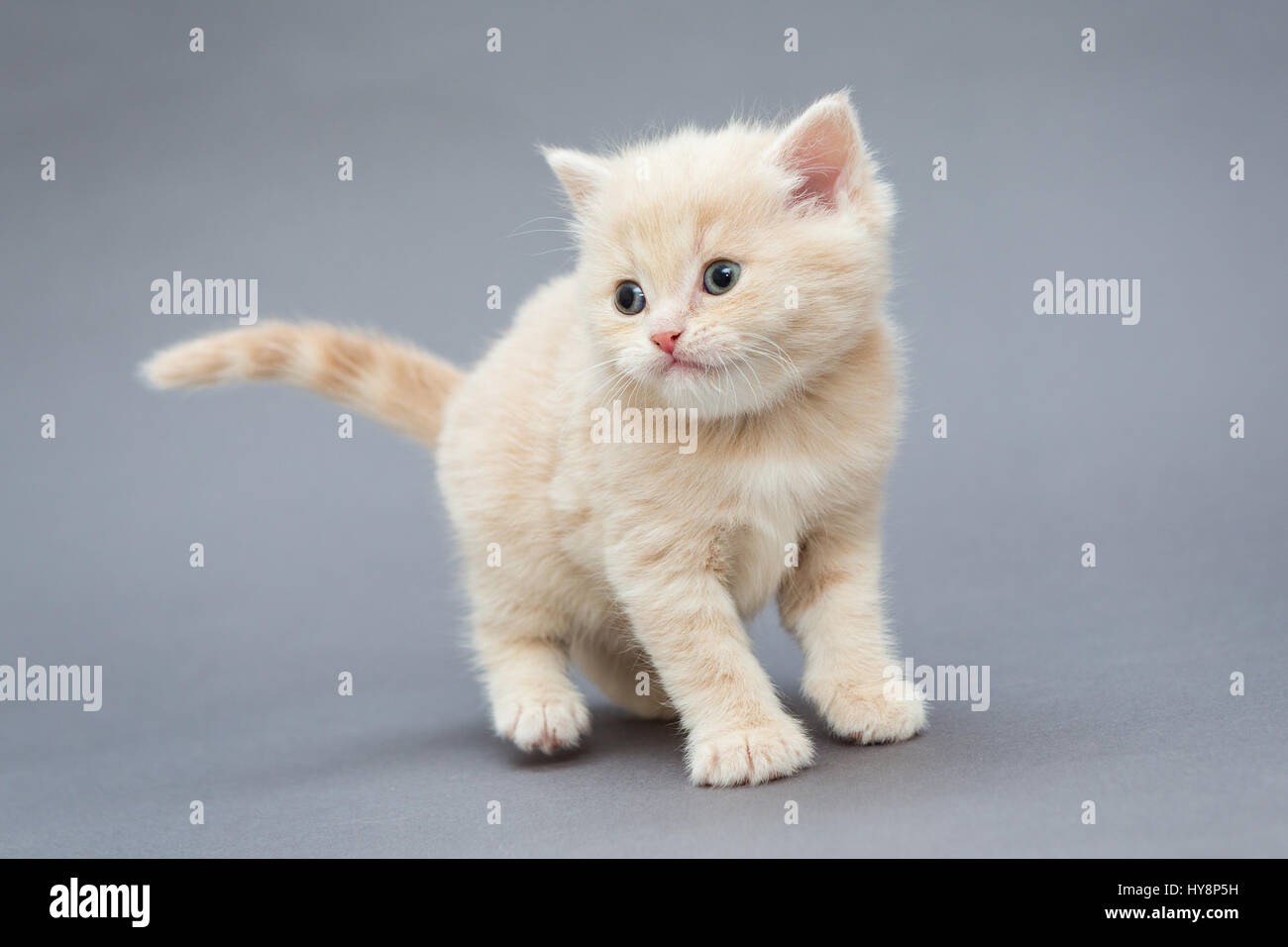Beige colour hi-res stock photography and images - Alamy