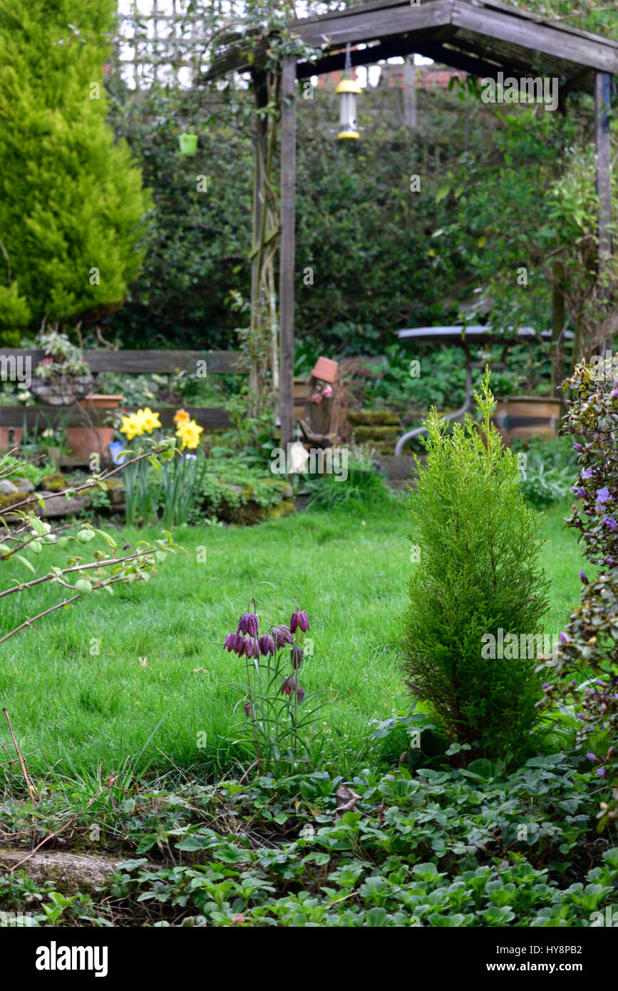 Shrubs and lawns hi-res stock photography and images - Alamy