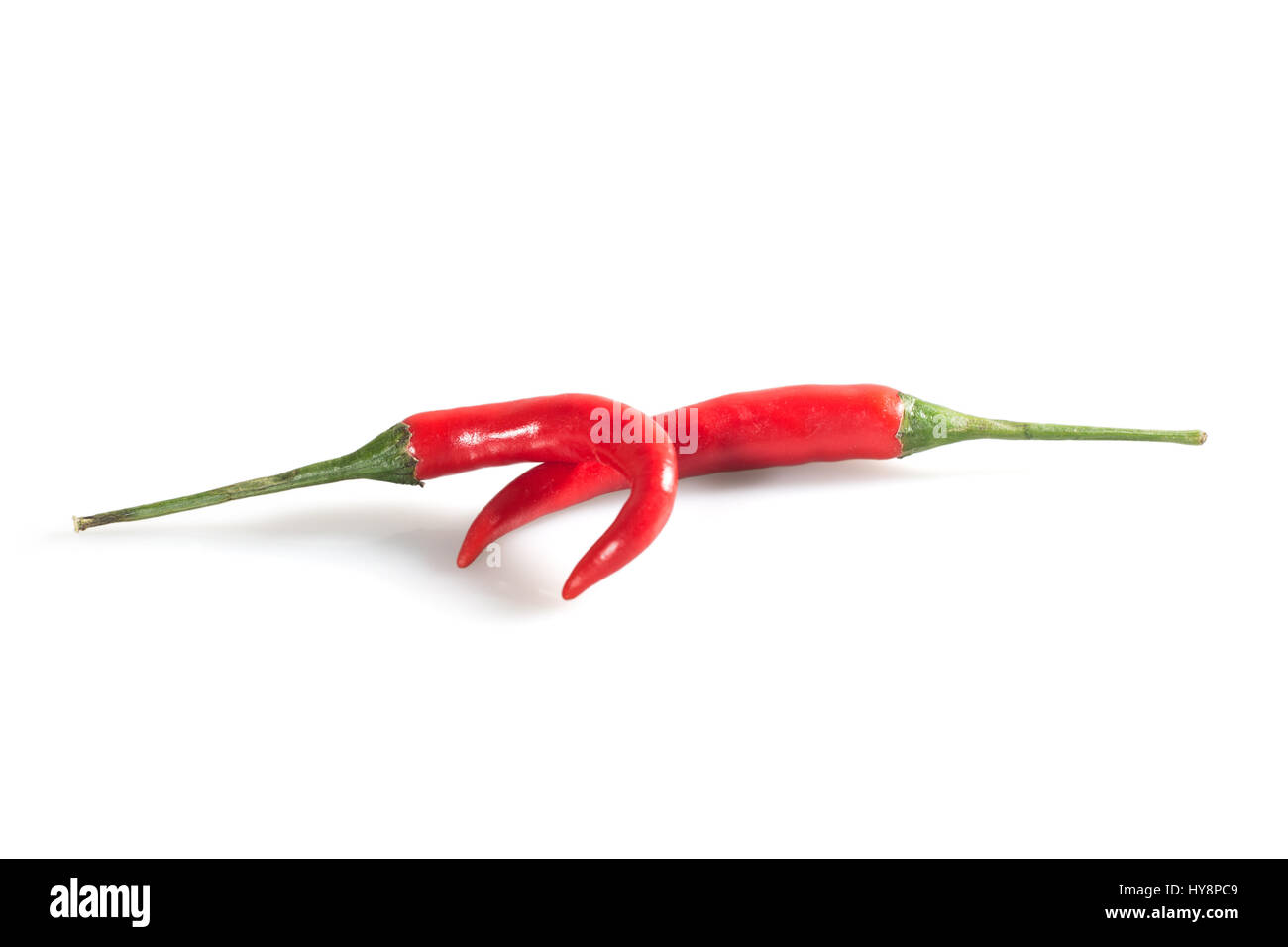 Two red chili peppers isolated on white background Stock Photo - Alamy