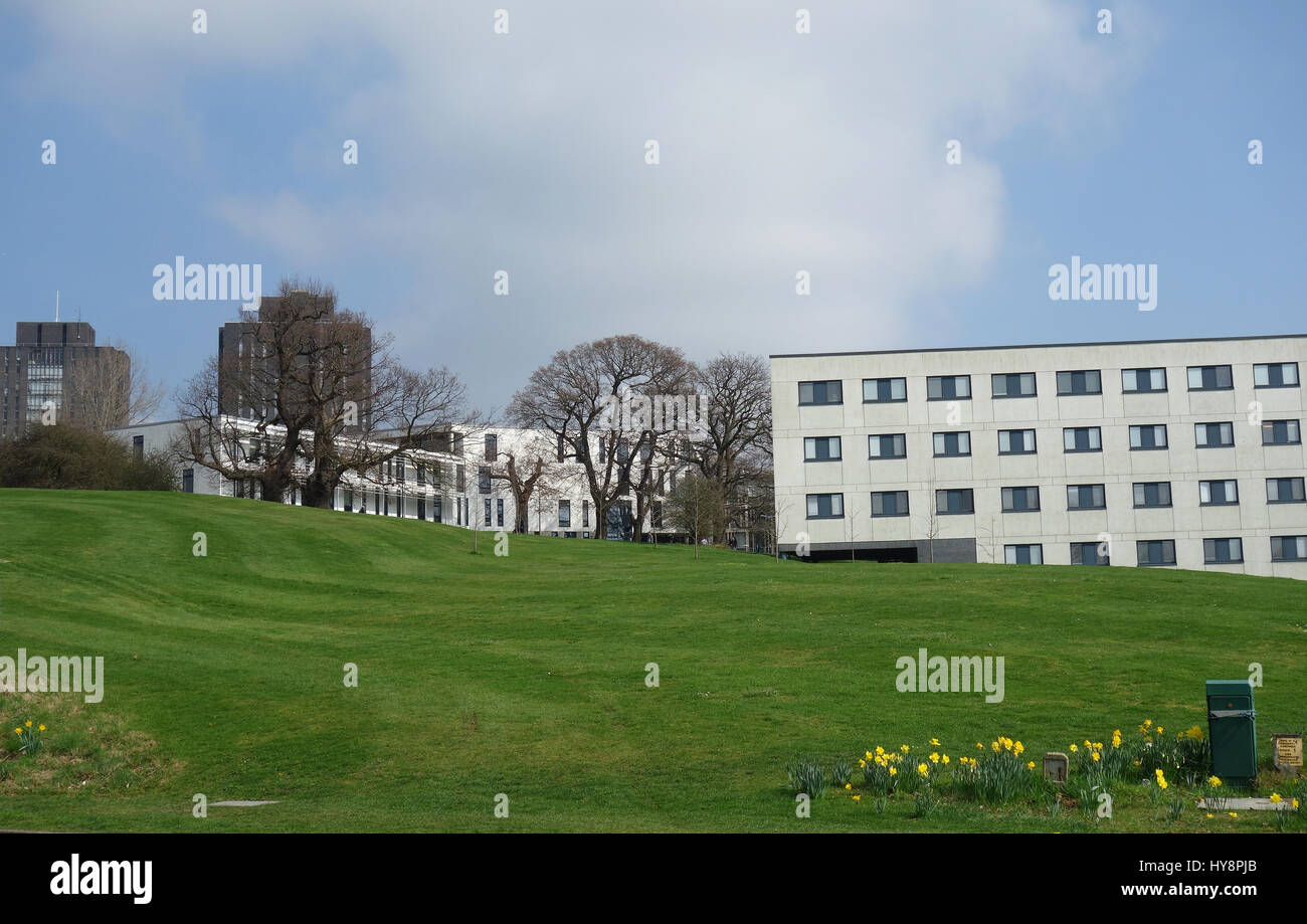 Colchester campus hi-res stock photography and images - Alamy