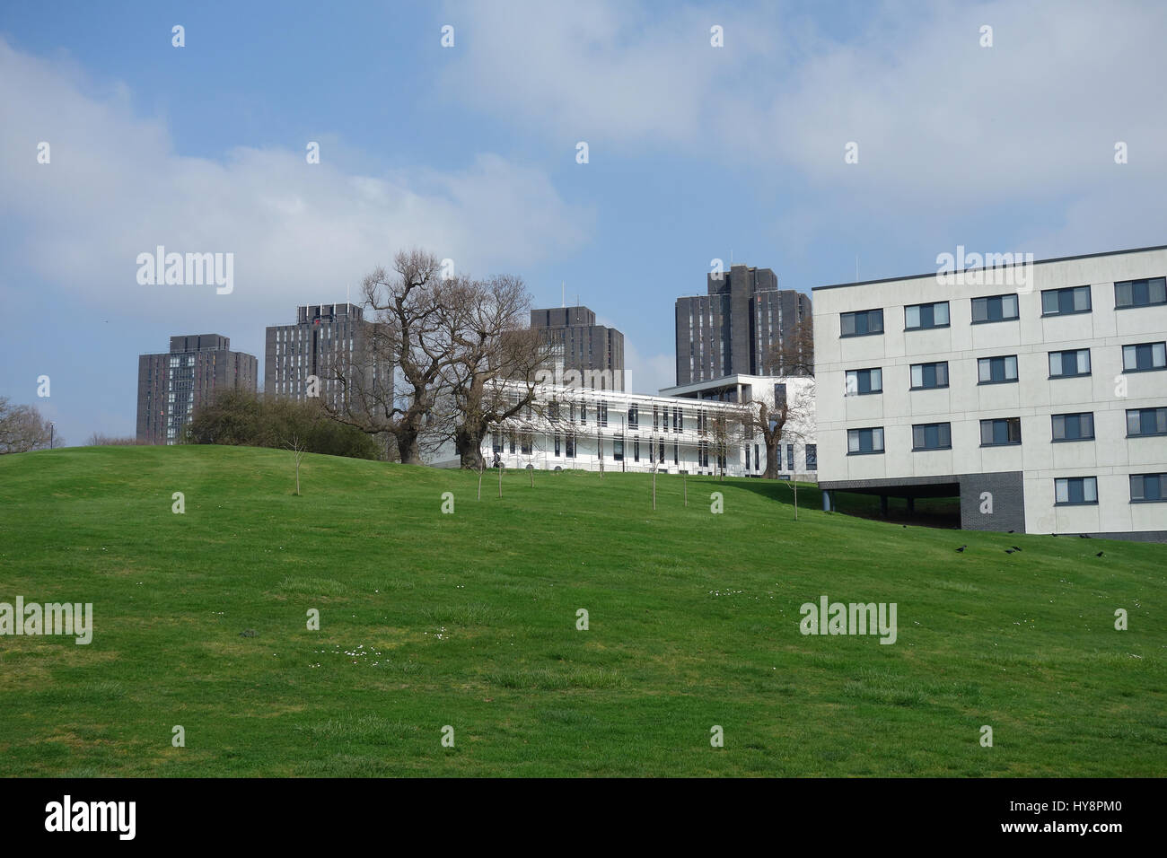 University of essex hi-res stock photography and images - Alamy