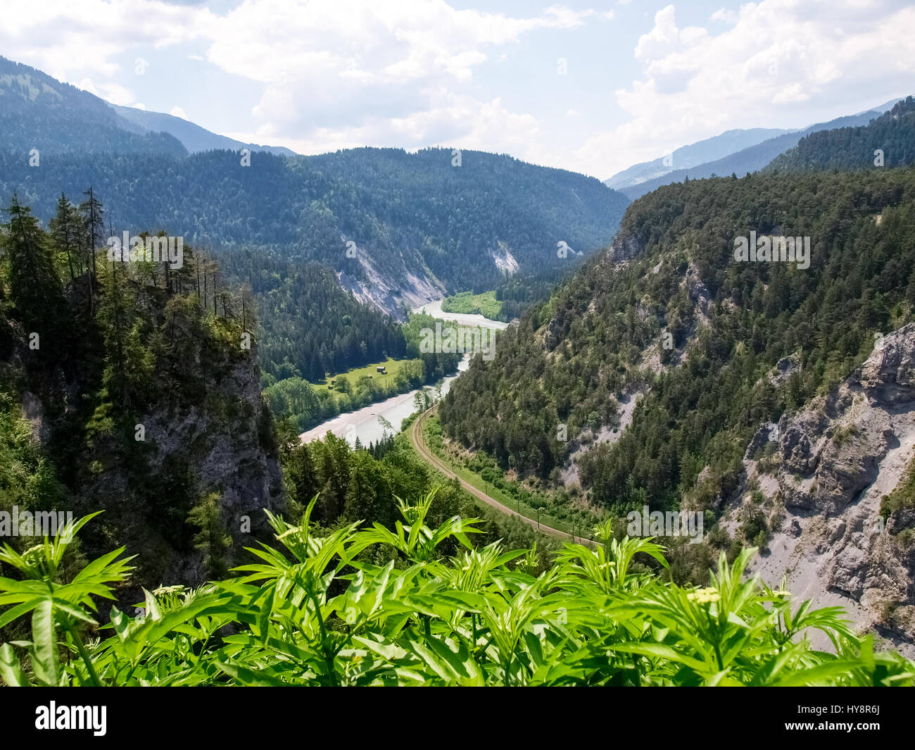 Reiche vegetation hi-res stock photography and images - Alamy
