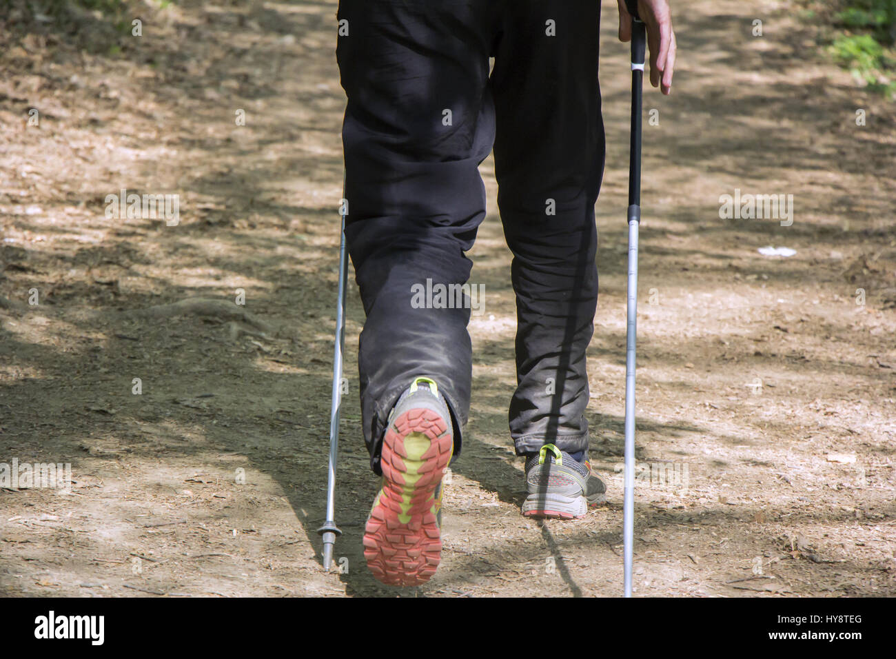Man walking cross country and trail in forest Stock Photo - Alamy