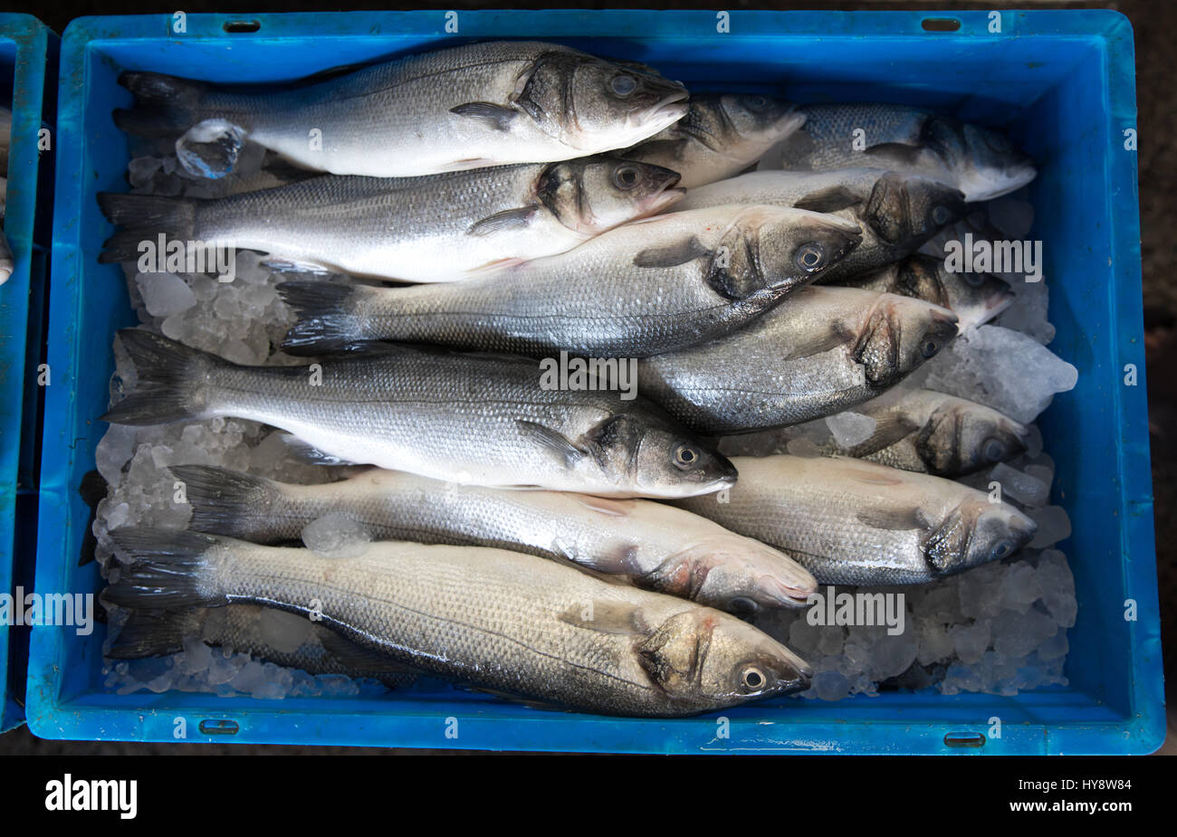 Man fish market dubai uae hi-res stock photography and images - Alamy
