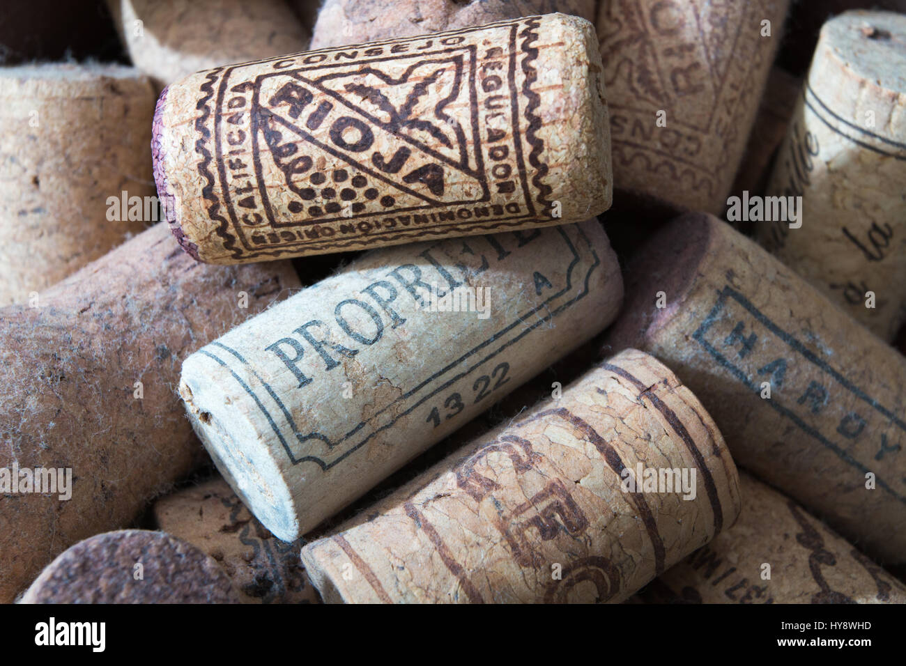 Robert hooke micrographia cell hi-res stock photography and images - Alamy