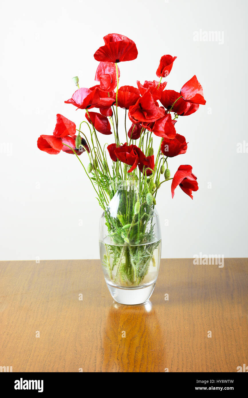Vase of poppies on a wooden table Stock Photo - Alamy