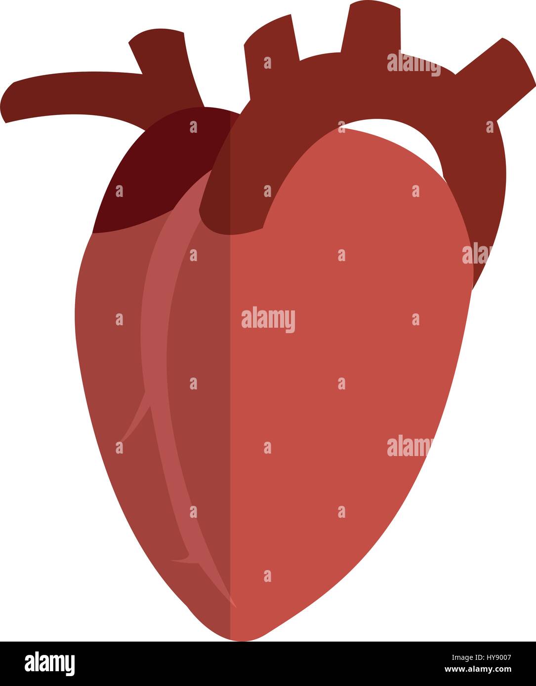 human organ icon Stock Vector Image & Art - Alamy