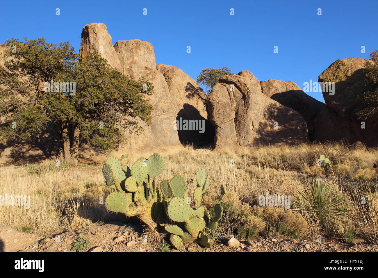 Volcanic sculptured rock formations, City of Rocks State Park, New ...