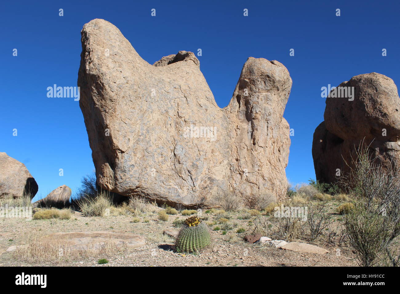 Volcanic sculptured rock formations, City of Rocks State Park, New ...