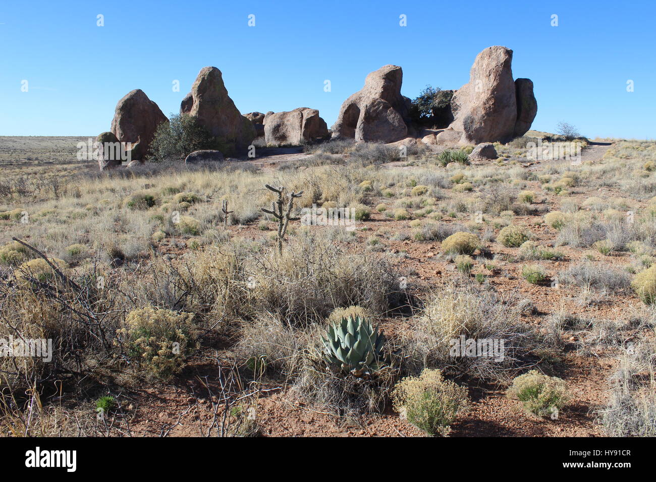 Volcanic sculptured rock formations, City of Rocks State Park, New ...