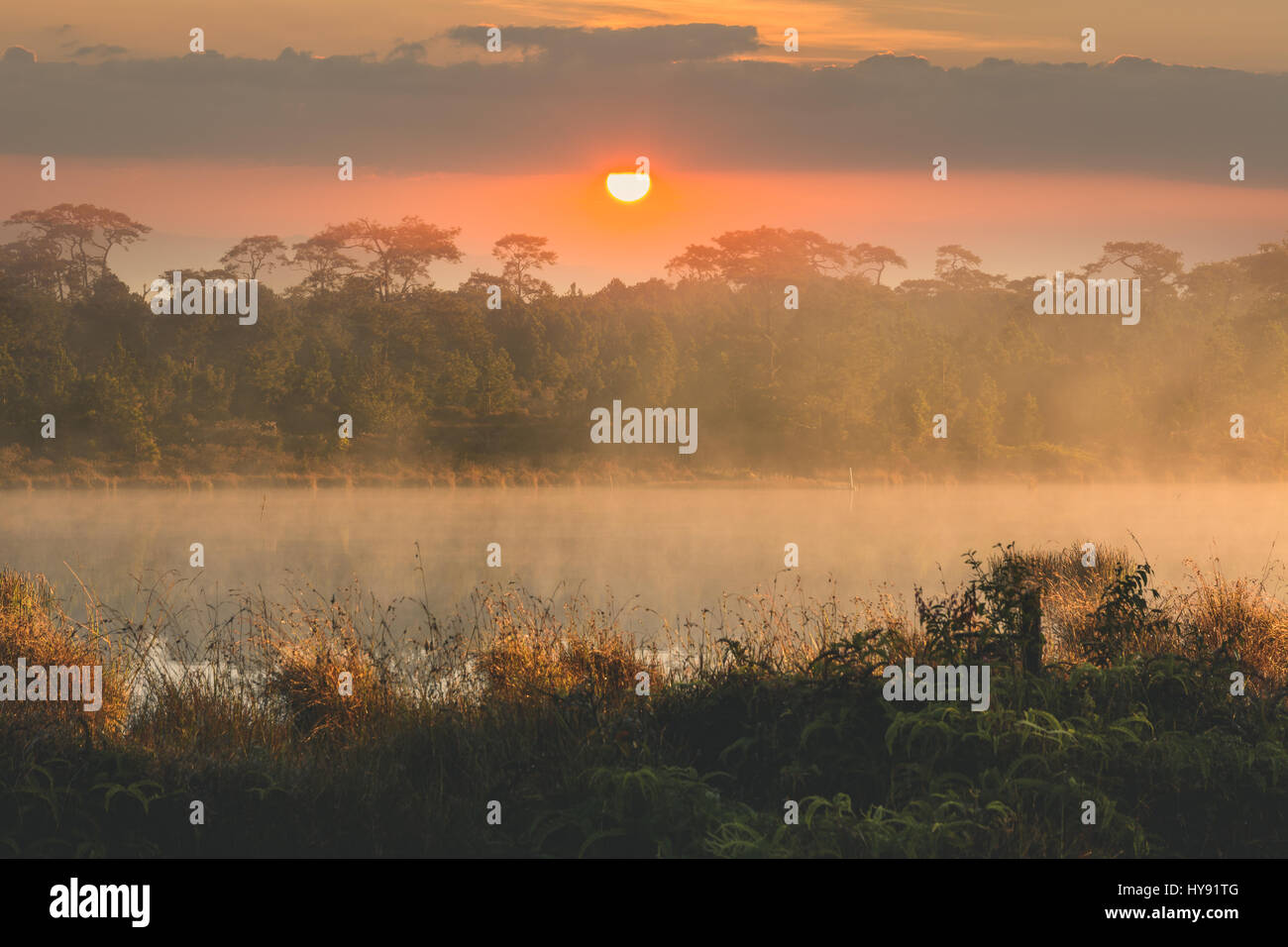 Big sun morning on the lake and sky gold Stock Photo - Alamy