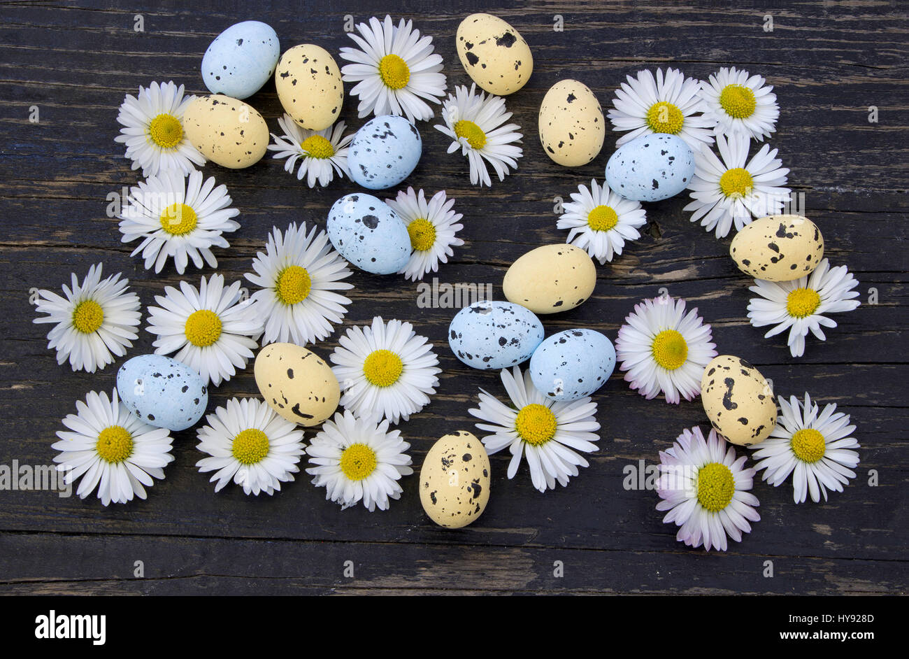 Easter background with Easter eggs and daisy flowers Stock Photo - Alamy