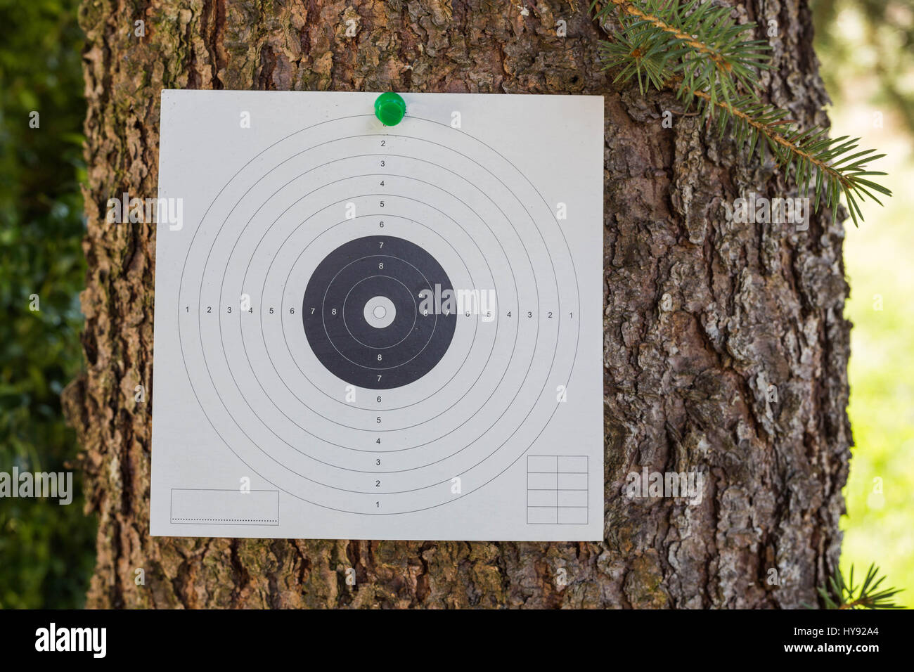 Shield shotgun attached to a tree Stock Photo - Alamy