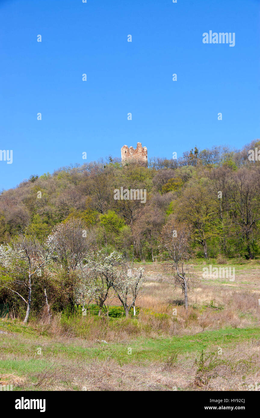 Vrdnik hi-res stock photography and images - Alamy