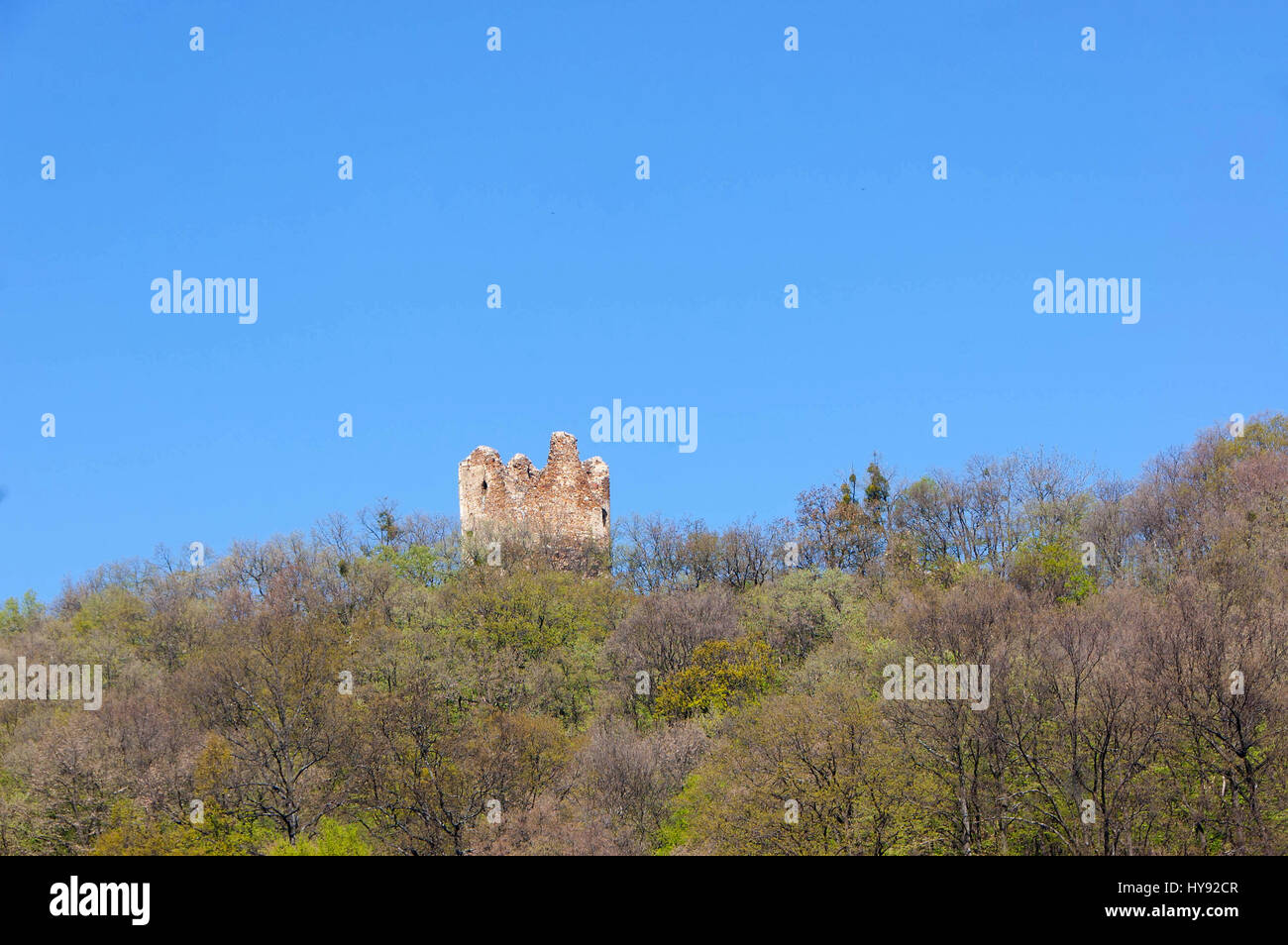 1315 years hi-res stock photography and images - Alamy