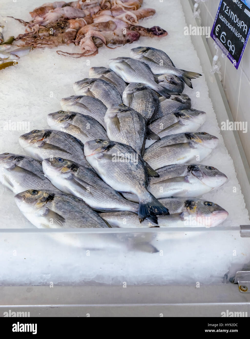 Selection of fesh sea bream dispalyed on ice at the fish market in ...