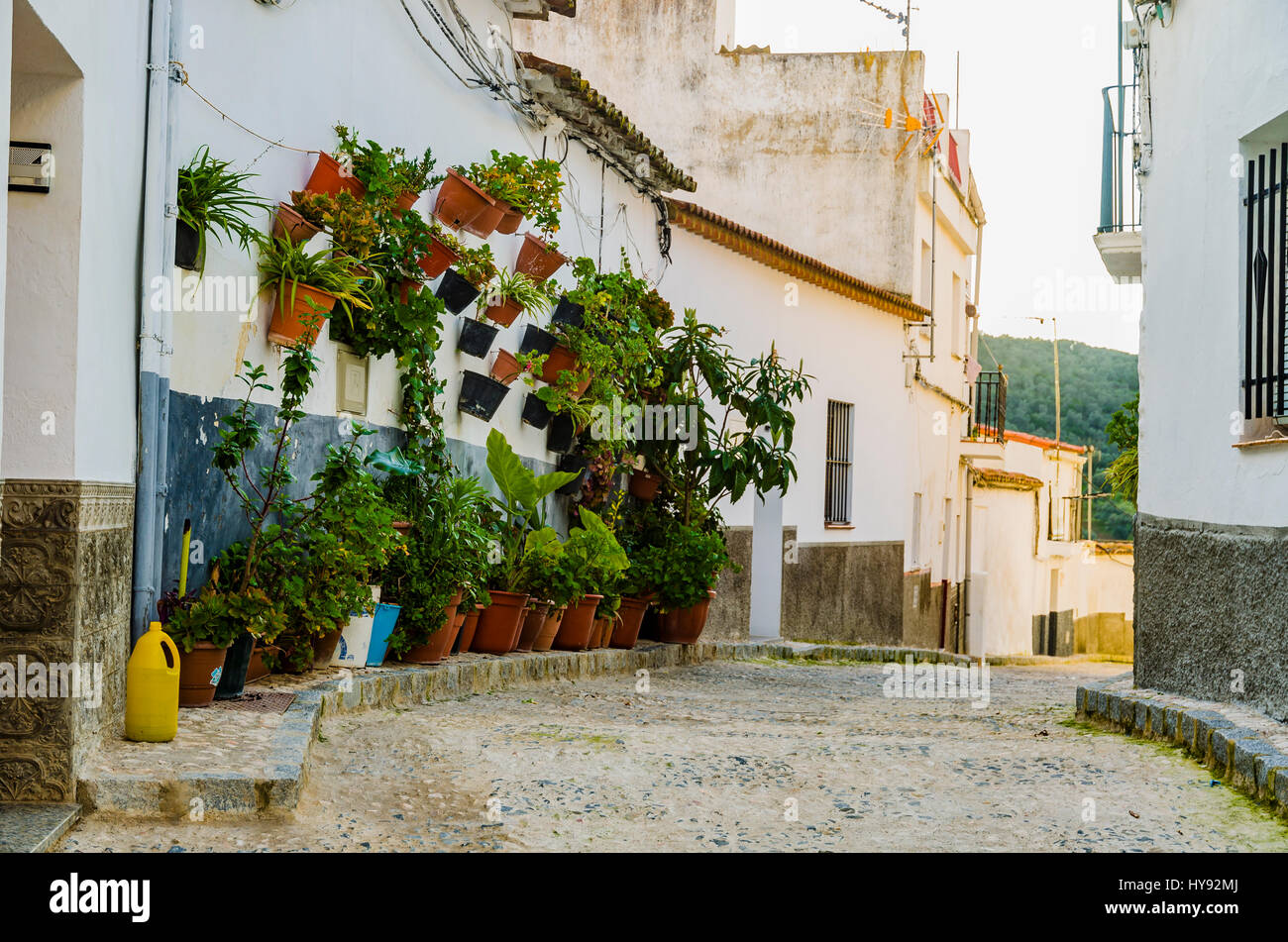 Sierra de aracena and picos de aroche natural park hi-res stock ...