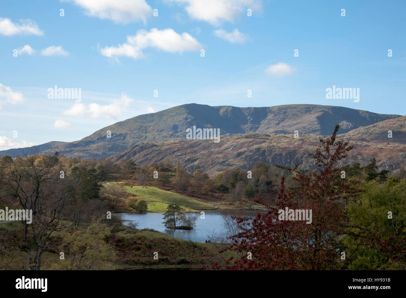 The wooded shore of Tarn Hows with The Old Man of Coniston and ...