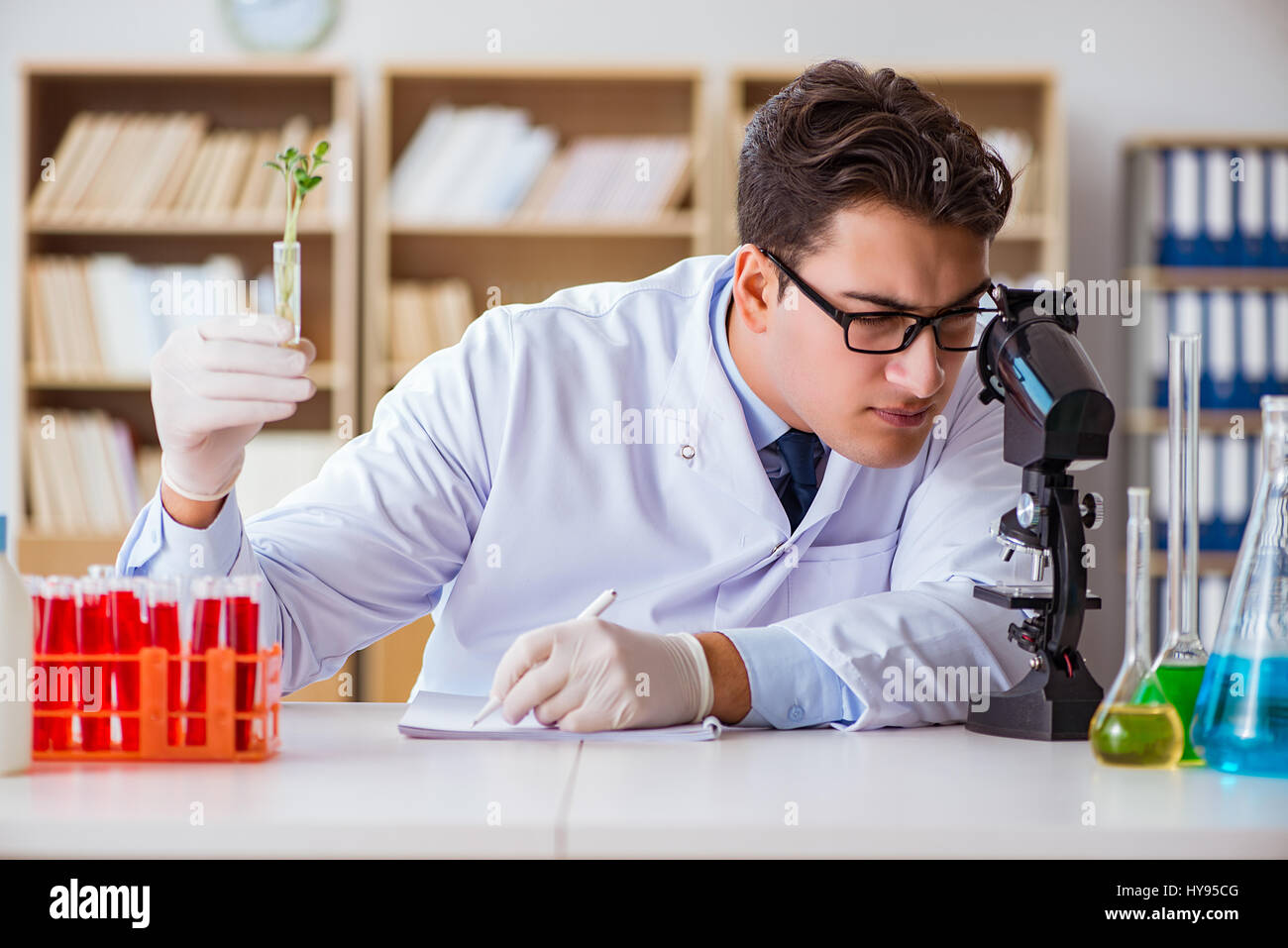 Biotechnology scientist working in the lab Stock Photo - Alamy