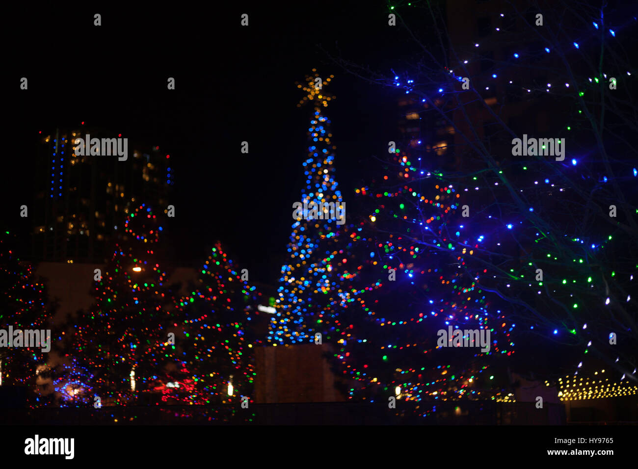 Sharp christmas trees hi-res stock photography and images - Alamy
