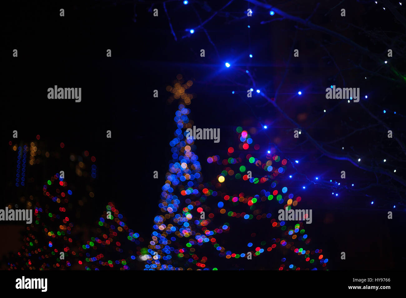 Sharp christmas trees hi-res stock photography and images - Alamy