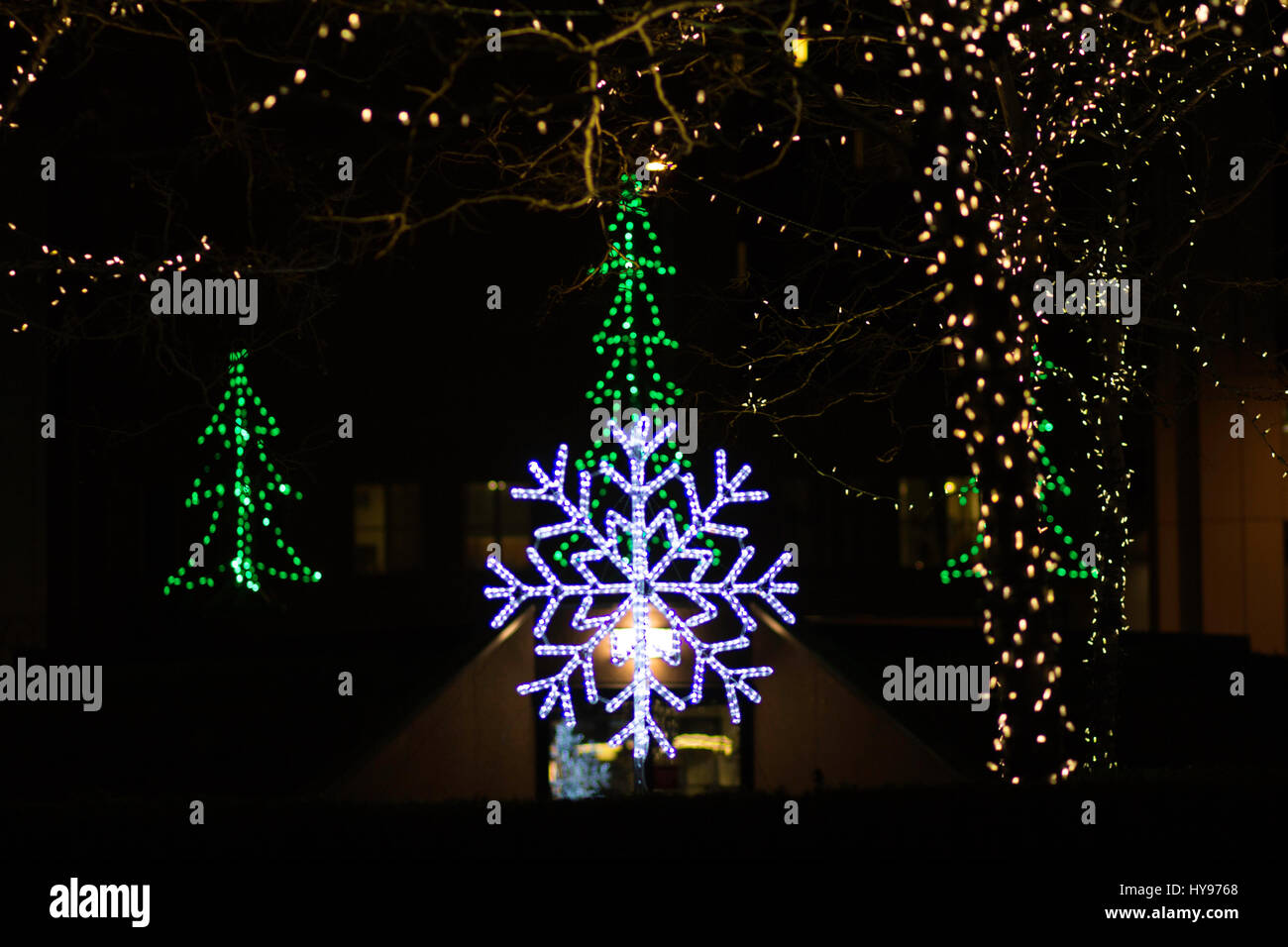 Sharp christmas trees hi-res stock photography and images - Alamy