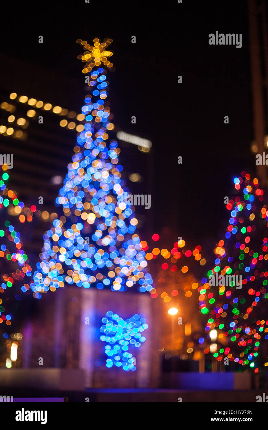 Sharp christmas trees hi-res stock photography and images - Alamy