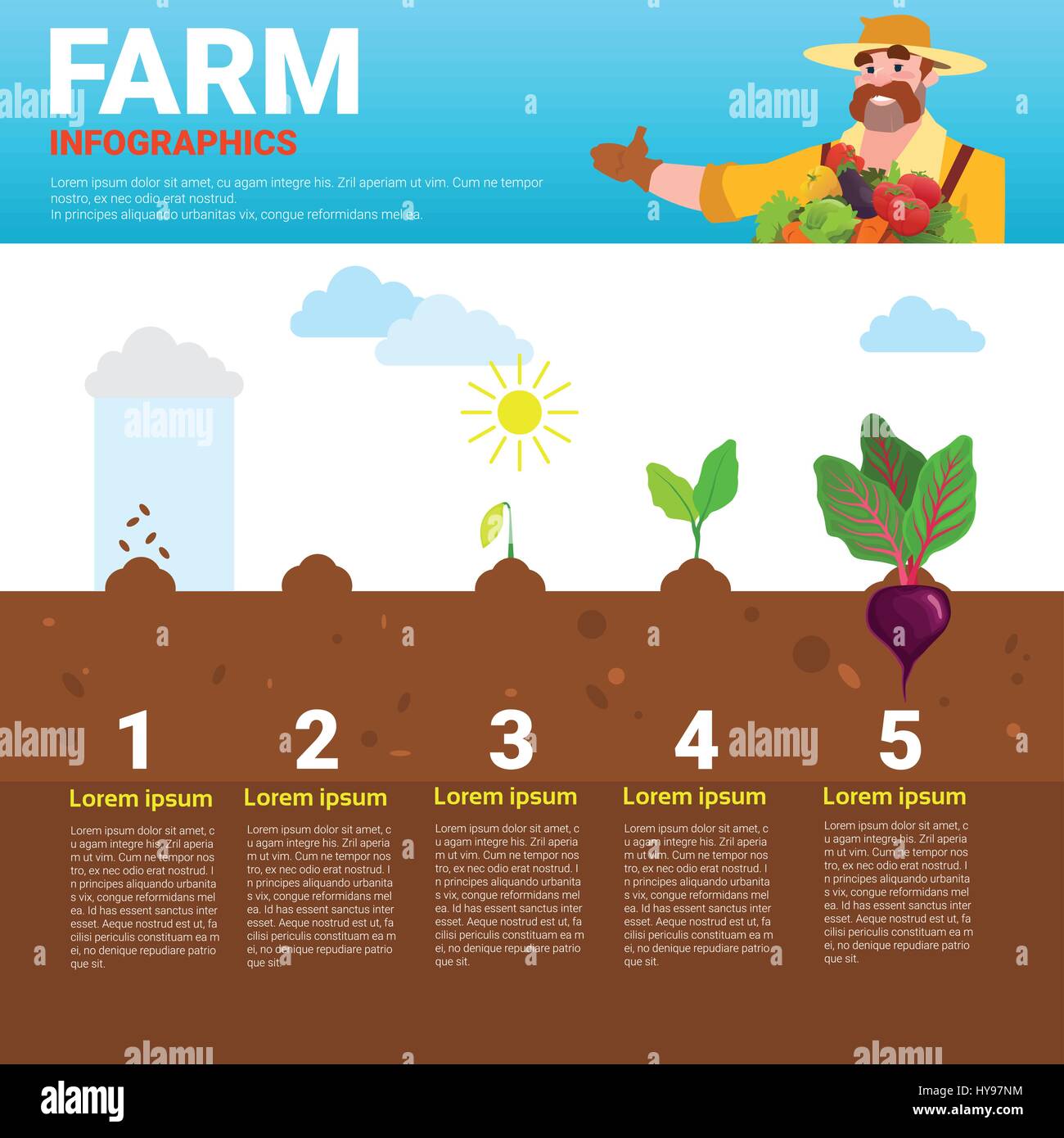 Farming Infographics Eco Friendly Organic Natural vegetable Growth Farm ...