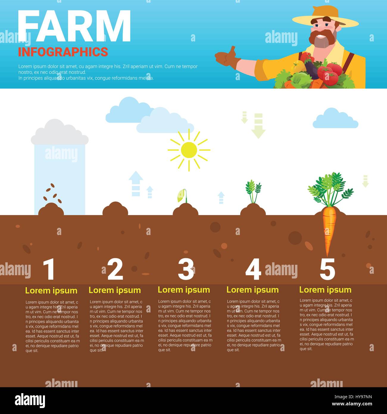 Farming Infographics Eco Friendly Organic Natural vegetable Growth Farm ...
