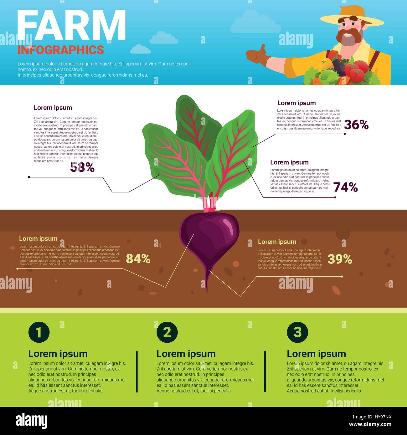 Farming Infographics Eco Friendly Organic Natural vegetable Growth Farm ...