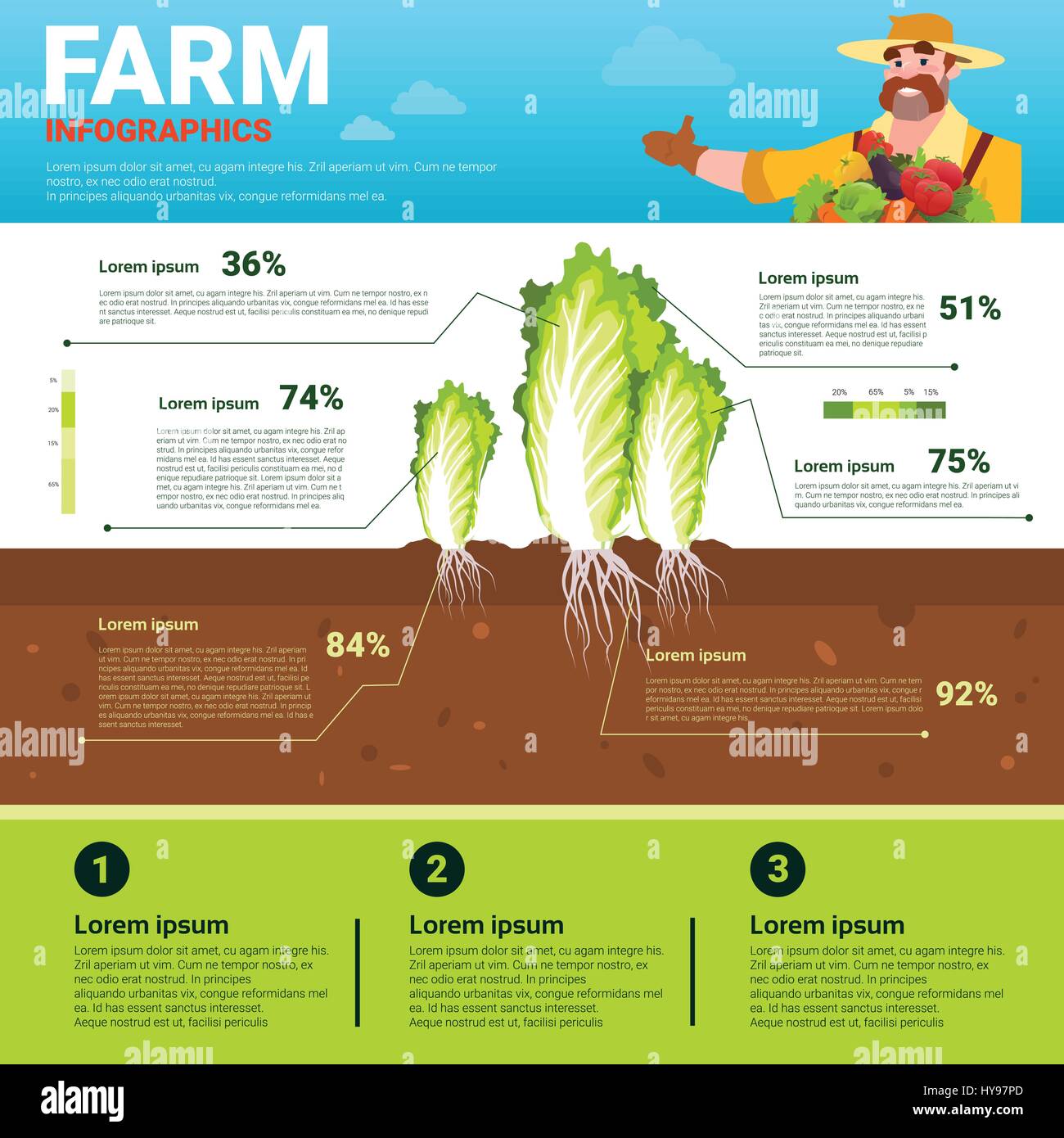 Farming Infographics Eco Friendly Organic Natural vegetable Growth Farm ...