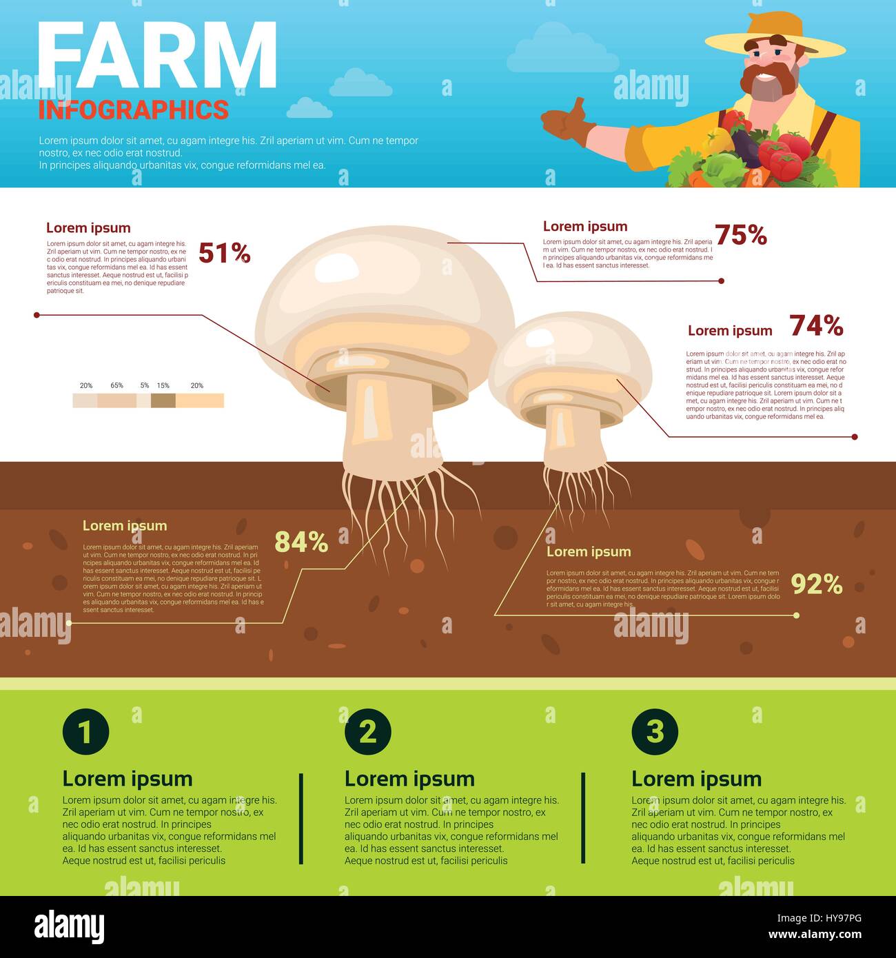 Farming Infographics Eco Friendly Organic Natural vegetable Growth Farm ...