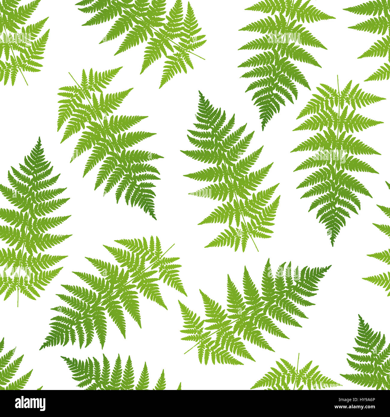 Fern seamless pattern. Vector illustration Stock Photo - Alamy