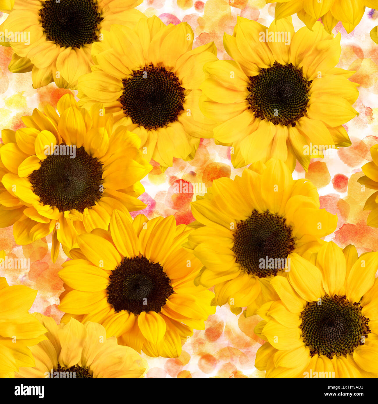 Seamless pattern with yellow sunflowers on watercolor texture Stock ...