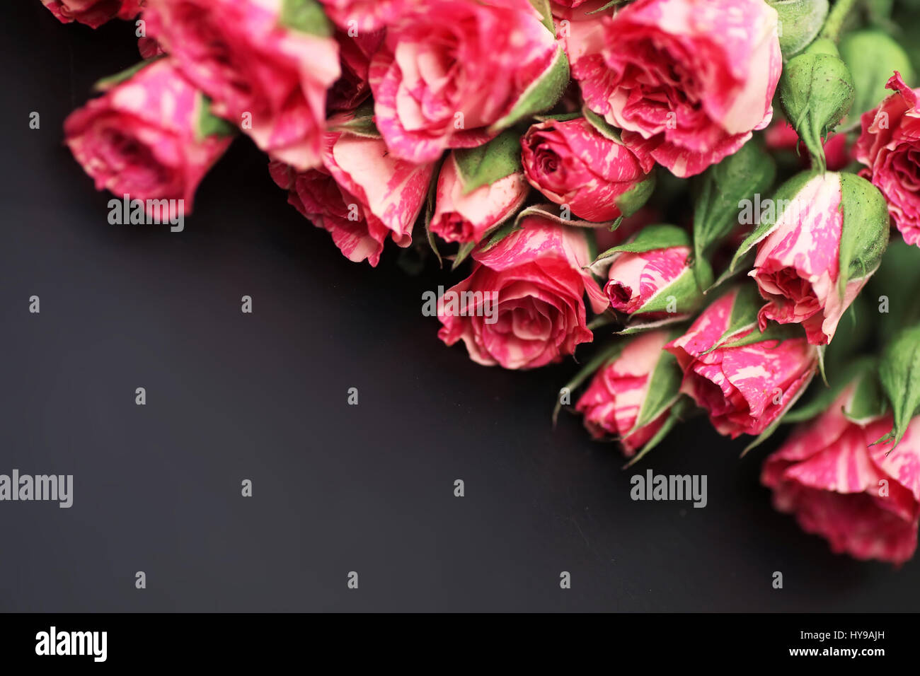 Bouquet of red roses on a black matte background Stock Photo - Alamy