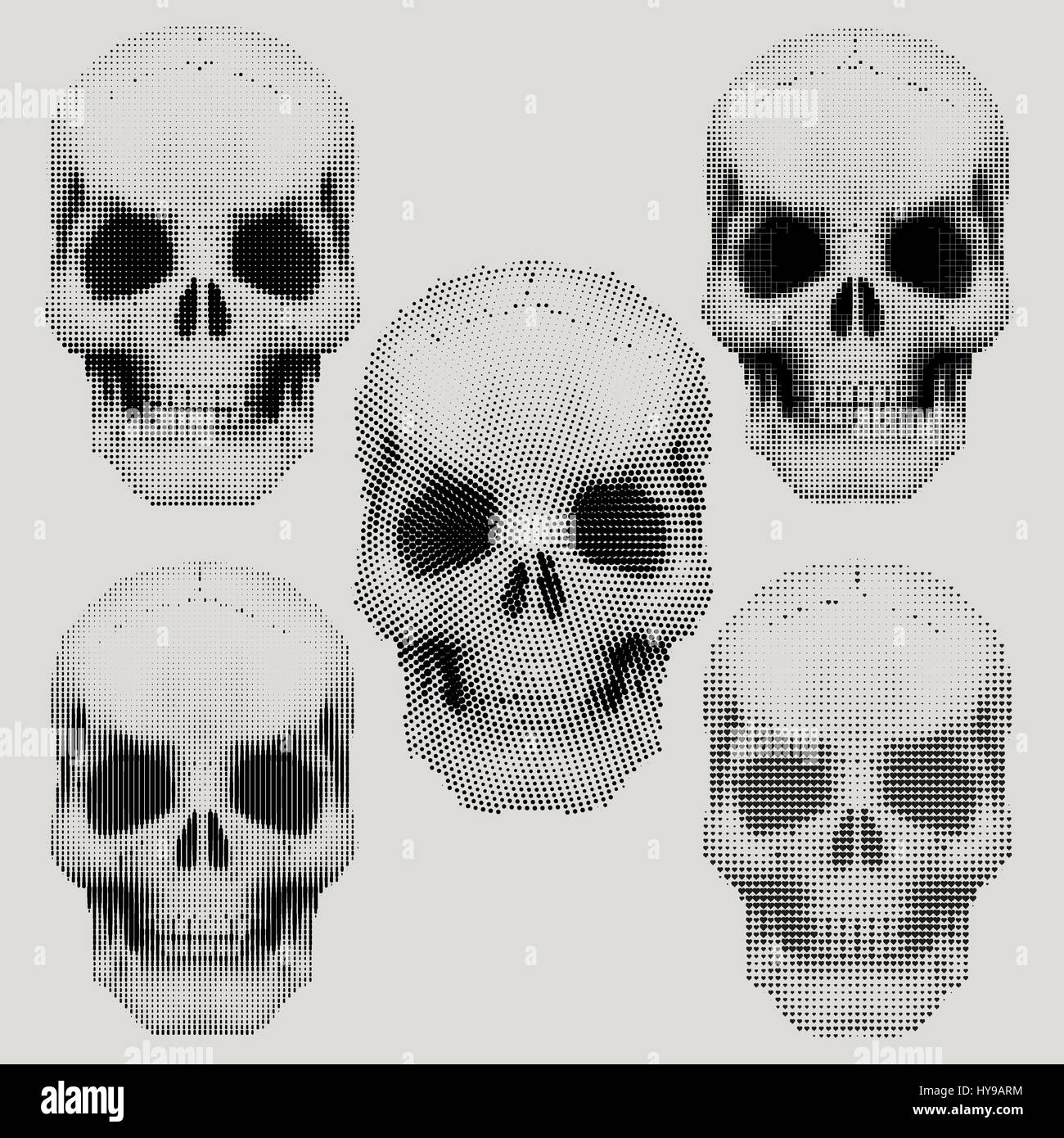 Human skulls in open hi-res stock photography and images - Alamy