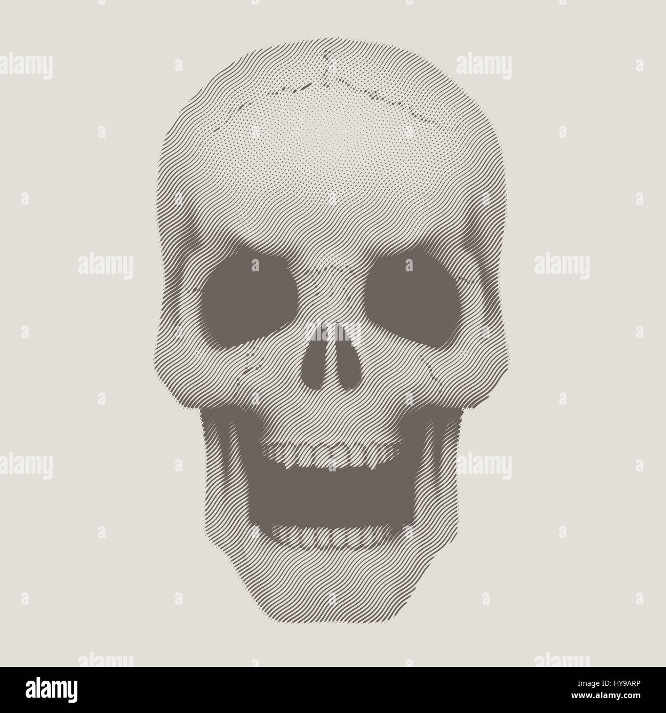 Human skull in vintage hi-res stock photography and images - Alamy