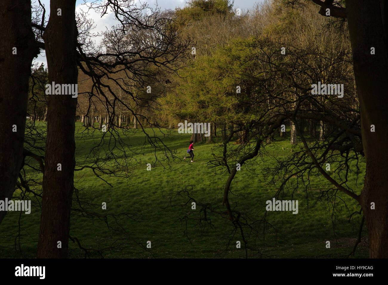 A runner in green park hi-res stock photography and images - Alamy