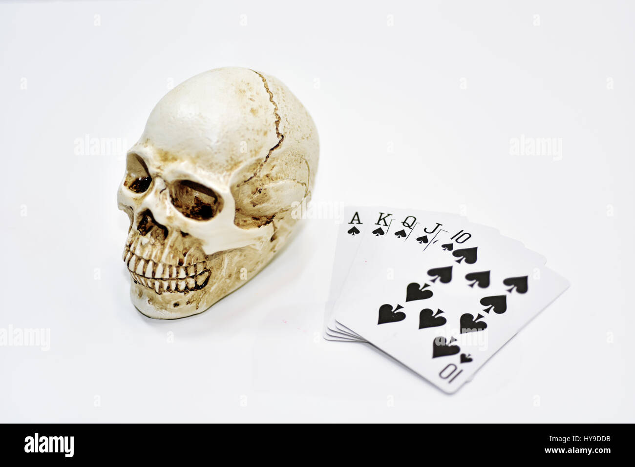 Small decorative human skull with playing cards. Isolated on white ...