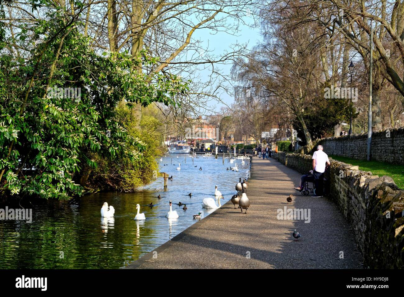 Riverside at Windsor Berkshire UK on a busy spring day Stock Photo - Alamy