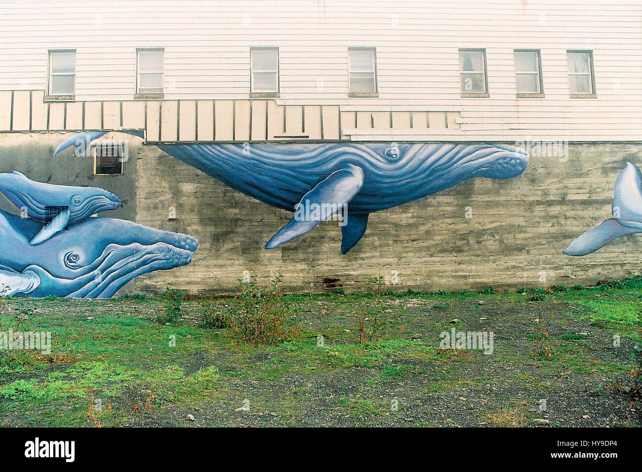 Whale graffiti hi-res stock photography and images - Alamy