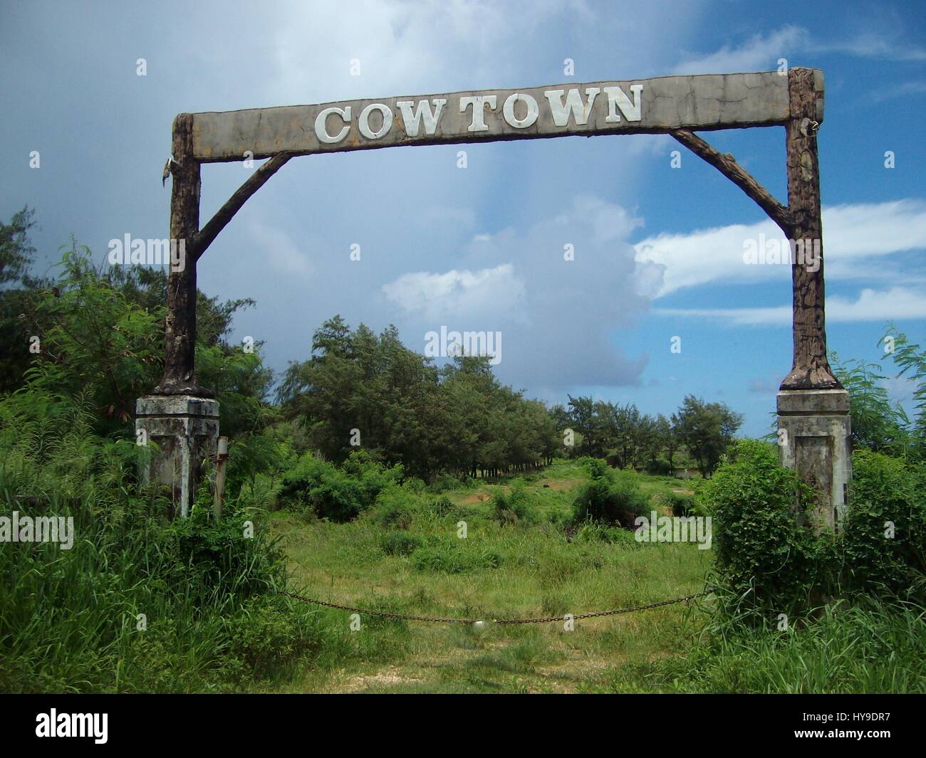 Larry hilbloom hi-res stock photography and images - Alamy