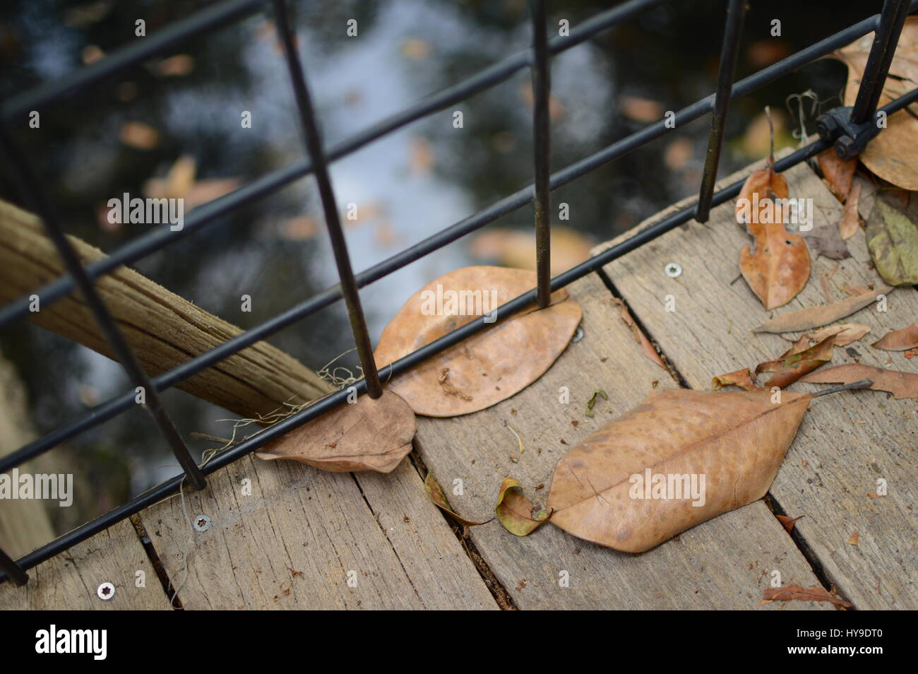 Fallen leaves on a bridge over a river Stock Photo - Alamy