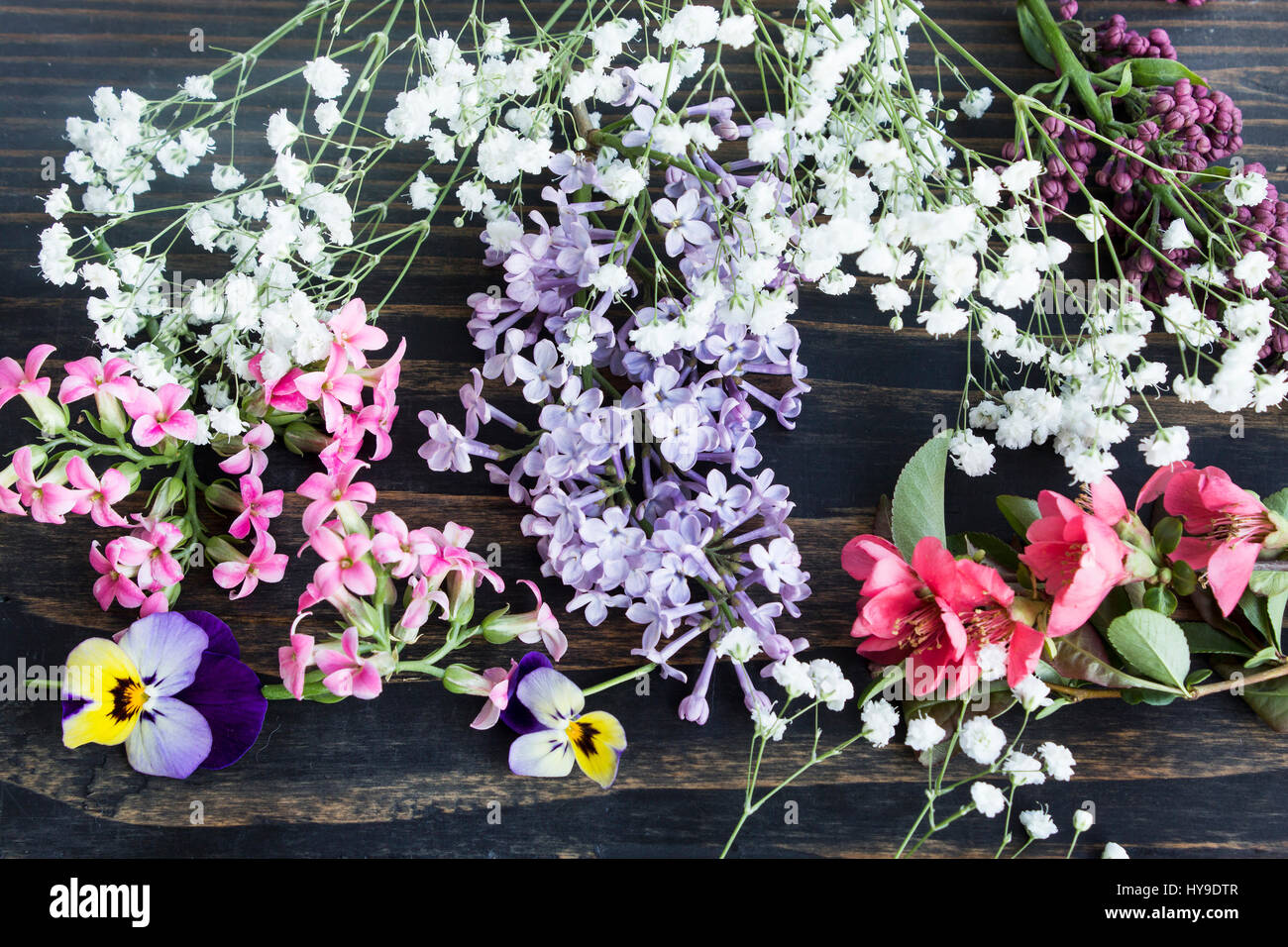 Various pansy flowers hi-res stock photography and images - Alamy