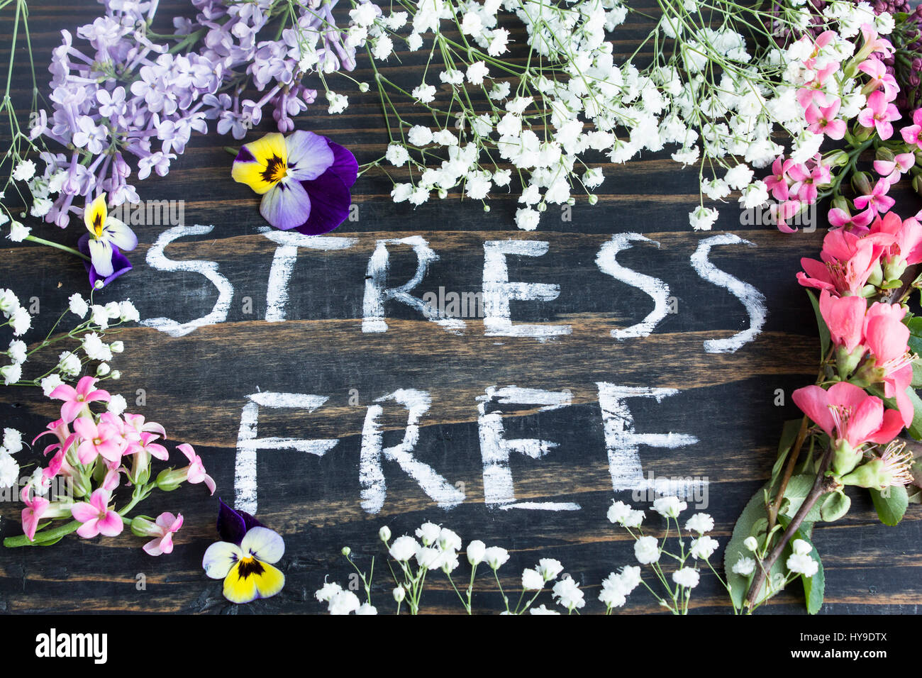 Words Stress Free with Spring Flowers on a Rustic Wooden Background ...