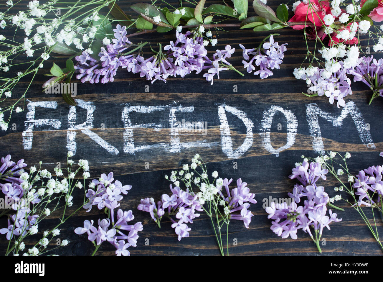 Word Freedom with Spring Flowers on a Rustic Wooden Background Stock ...