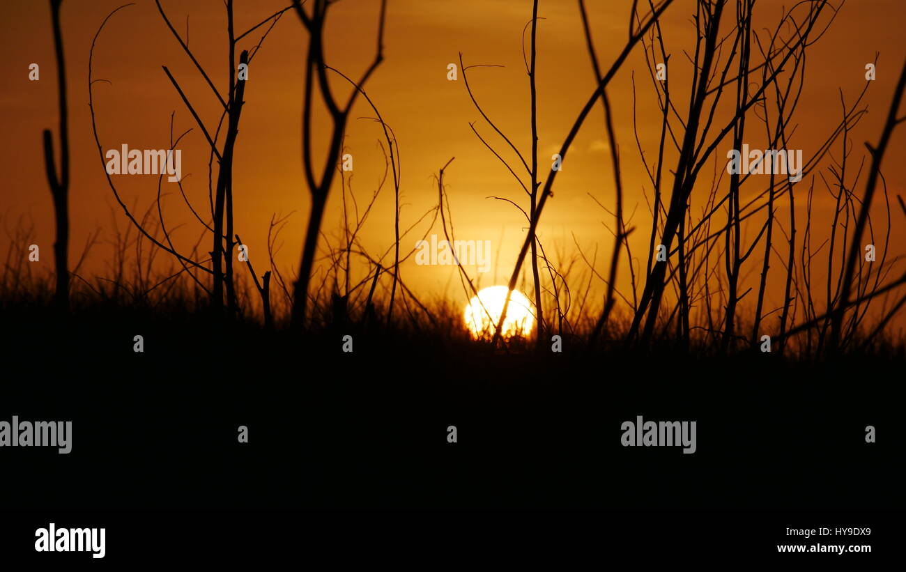 Sunset silhouttes 3 Stock Photo - Alamy