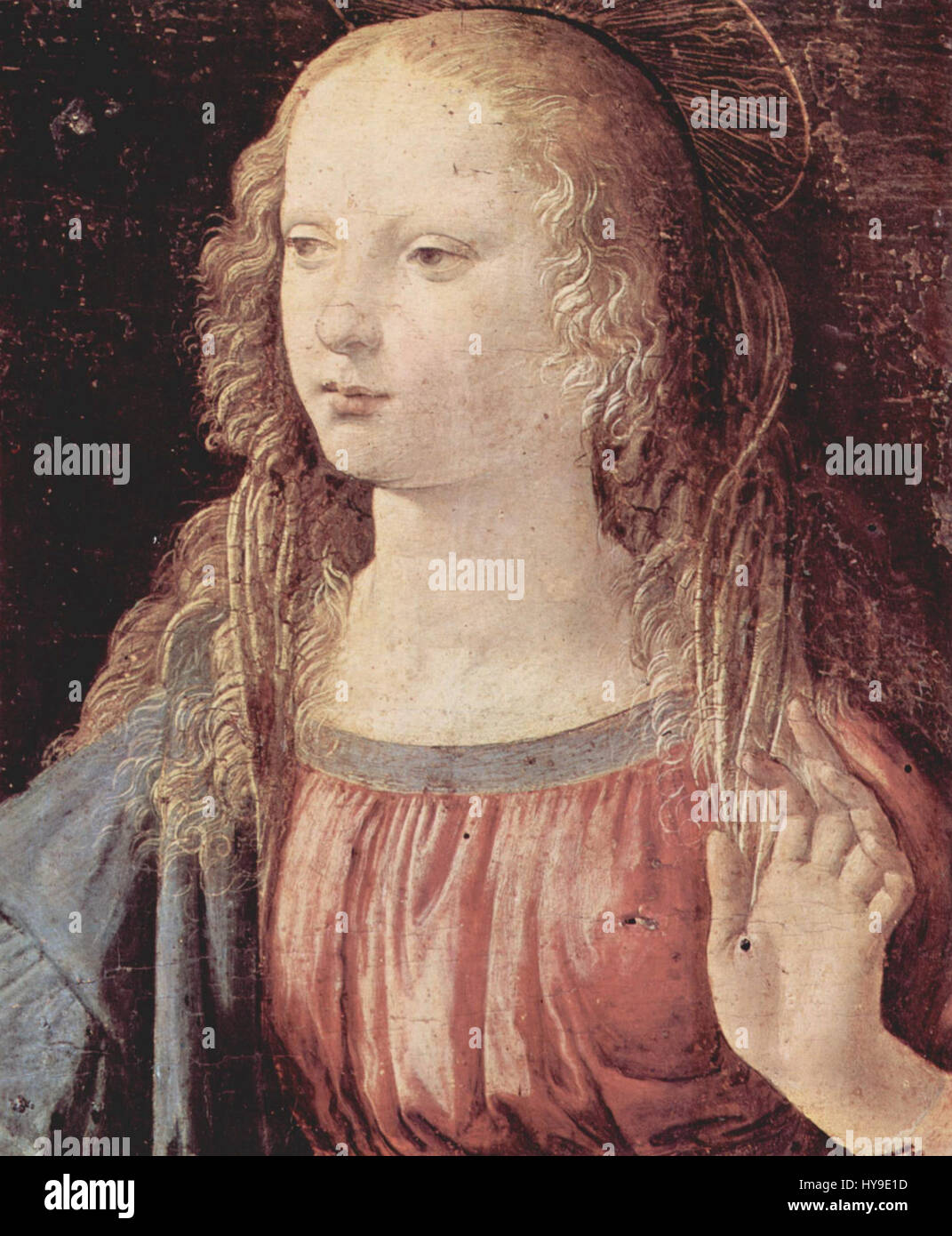 Anatomy art by leonardo da vinci hi-res stock photography and images ...