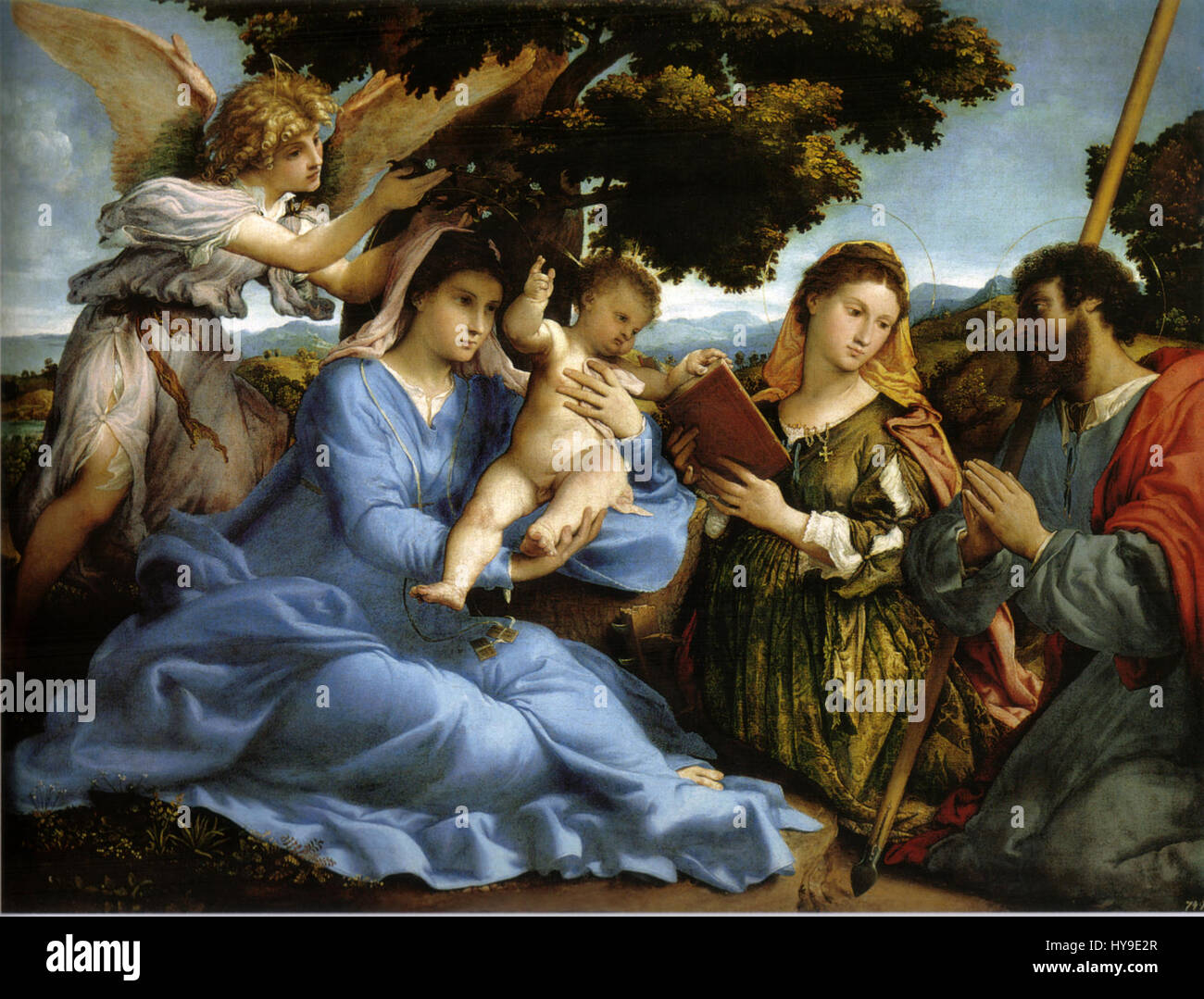 Expression of keen observation hi-res stock photography and images - Alamy