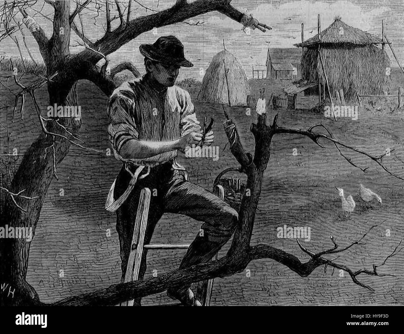 Spring fieldwork Black and White Stock Photos & Images - Alamy